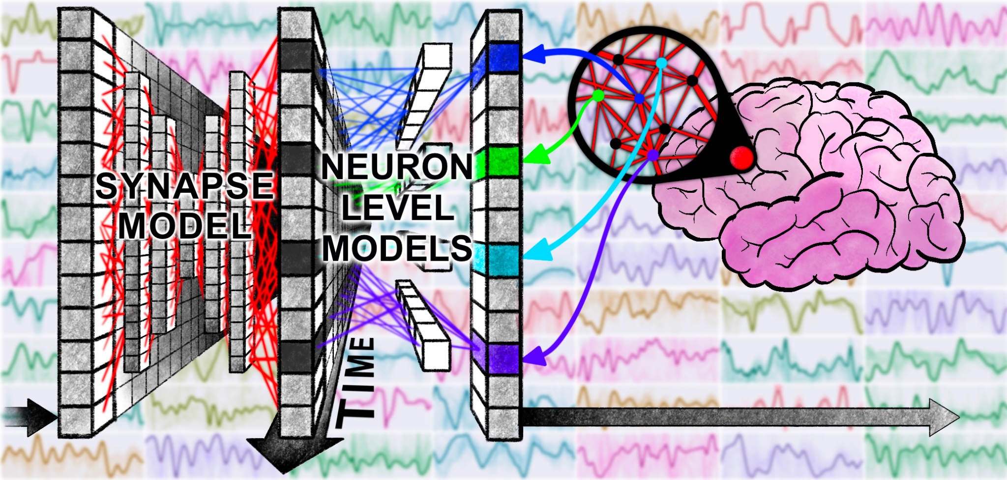 Introducing Continuous Thought Machines